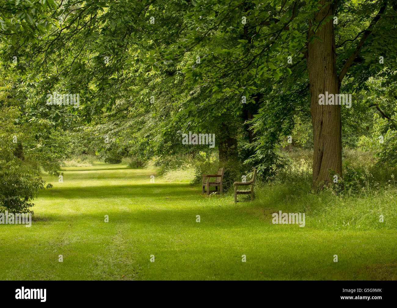 Quiet Place to Sit. A large public country park with well established ...