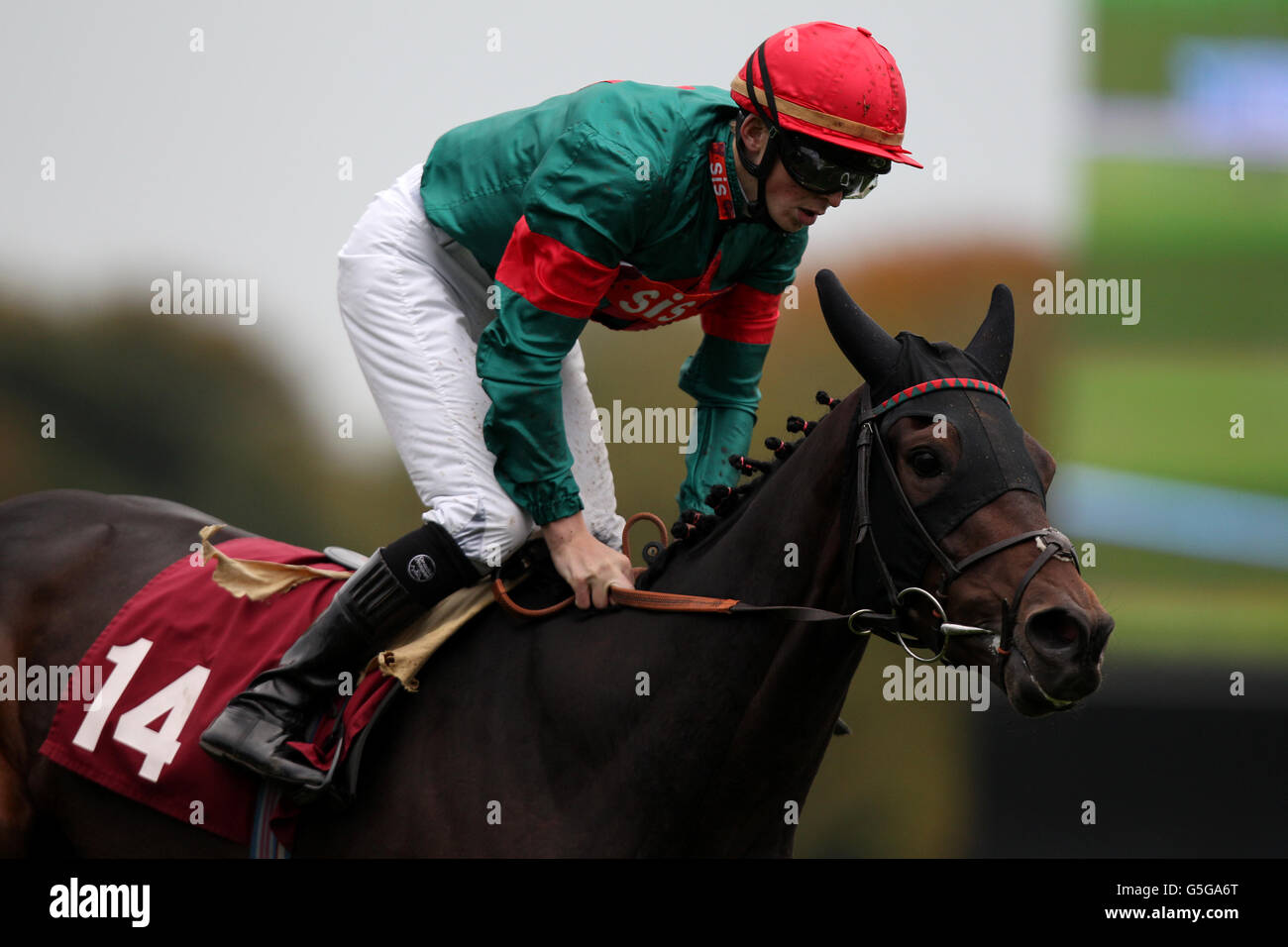 Horse Racing - Haydock Park Racecourse Stock Photo - Alamy