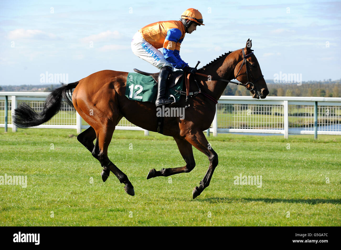 Jockey Sean Quinlan goes to post on Old Boy Ted prior to the Linden ...