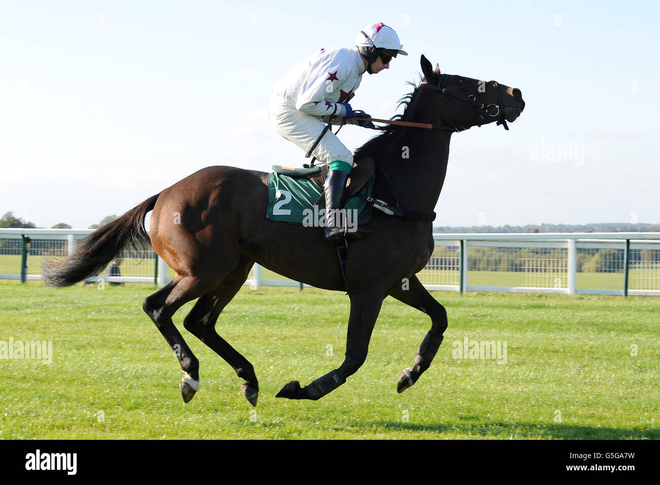 Horse Racing - Towcester Races Stock Photo - Alamy
