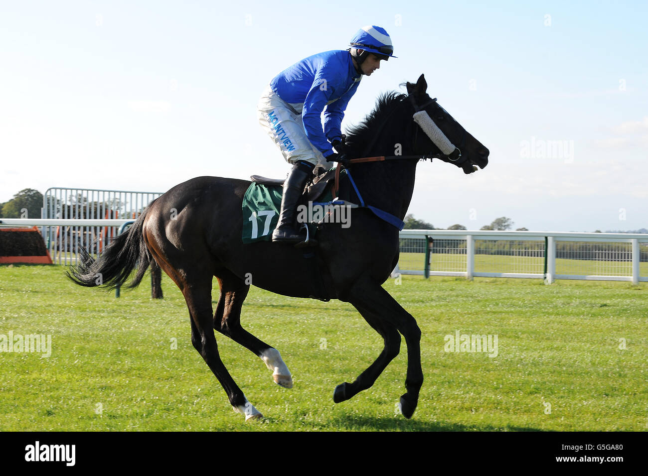 Horse Racing - Towcester Races Stock Photo - Alamy