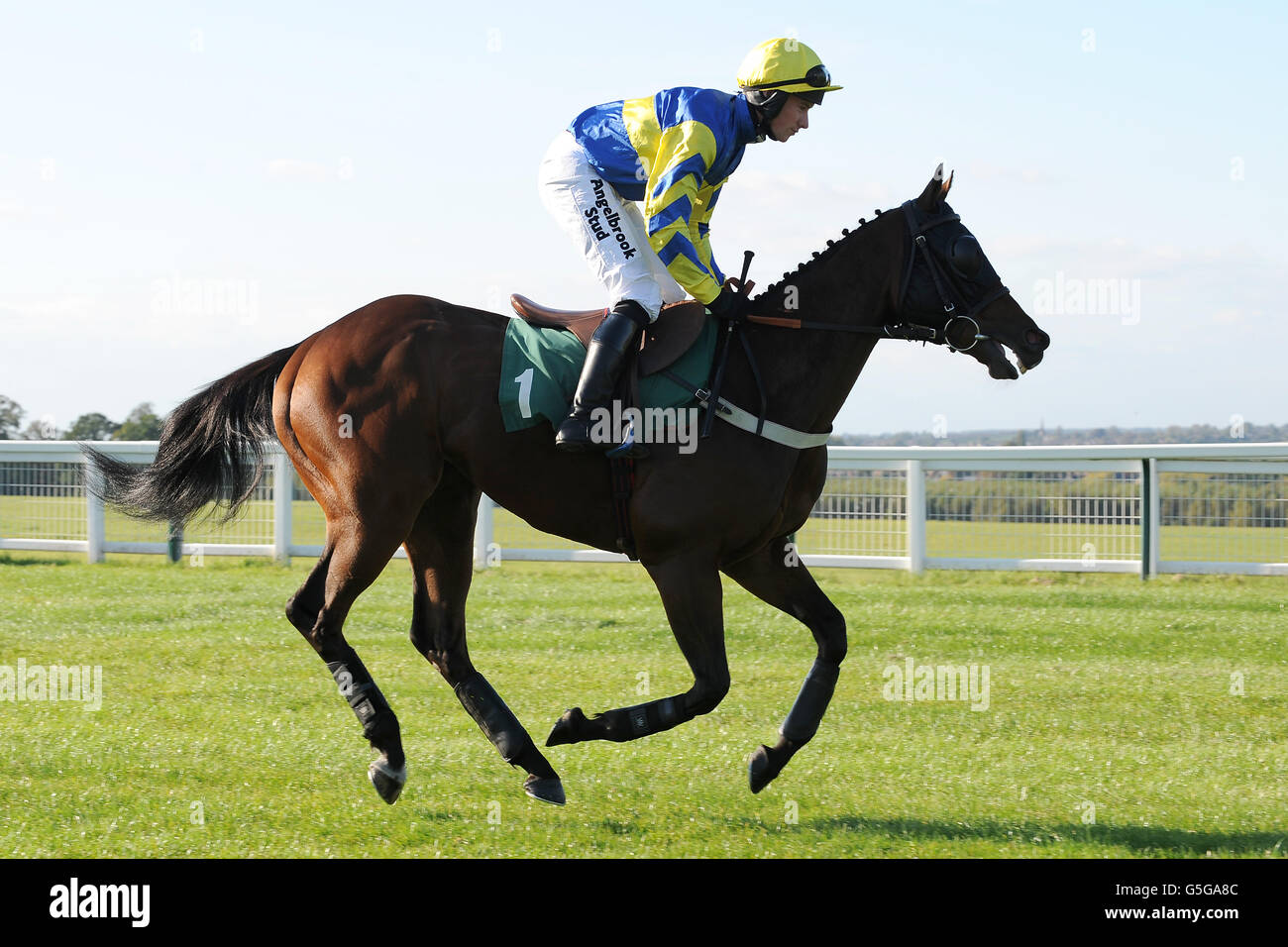 Jockey Matthew Stanley on Jawhary goes to post for the Linden Homes ...