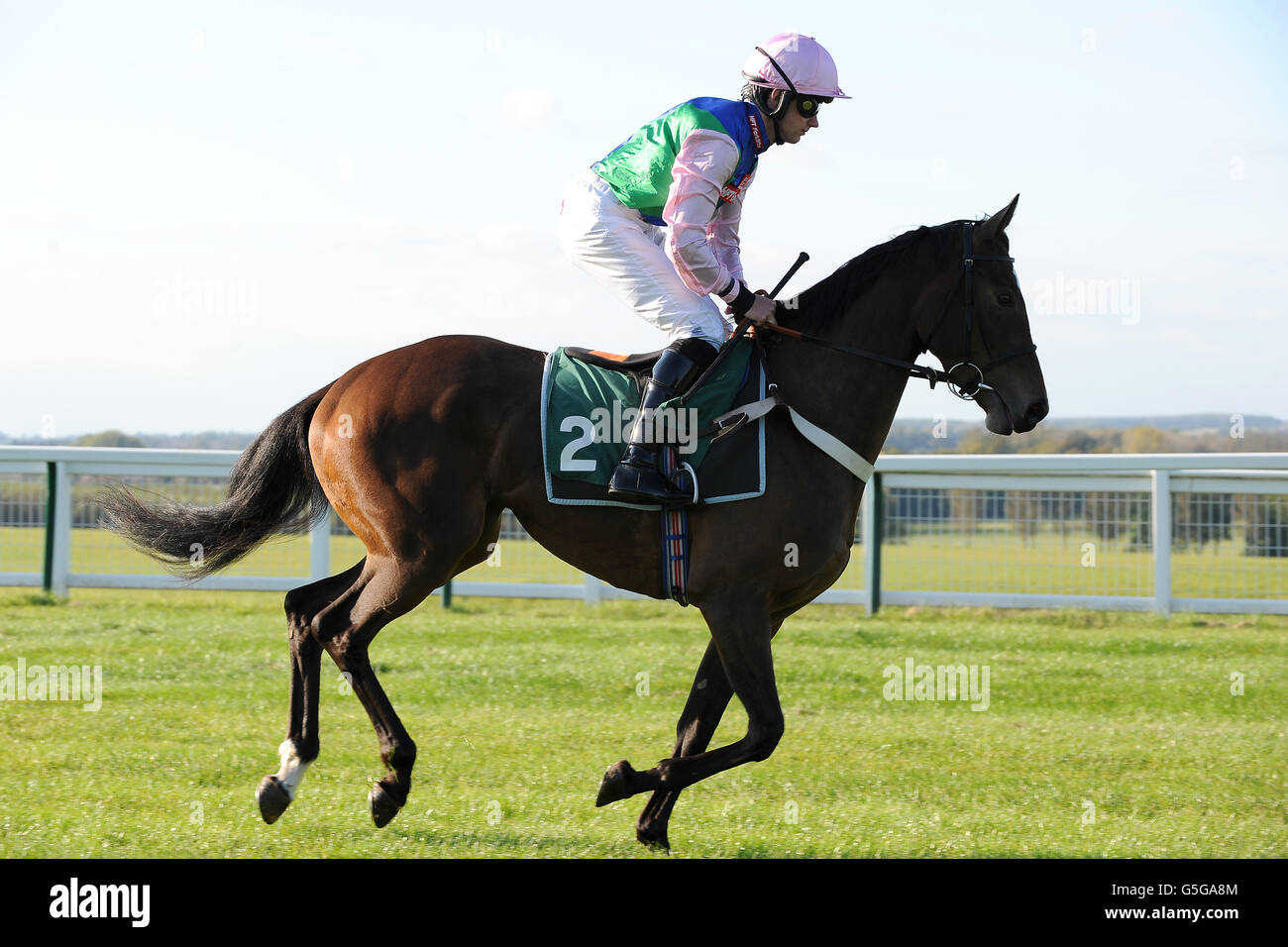 Horse Racing - Towcester Races. Jockey Jeremiah McGrath on Nuisance ...