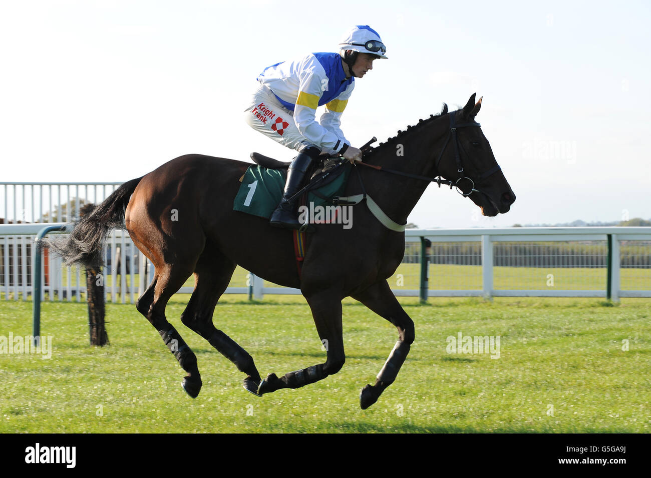 Horse Racing - Towcester Races Stock Photo - Alamy