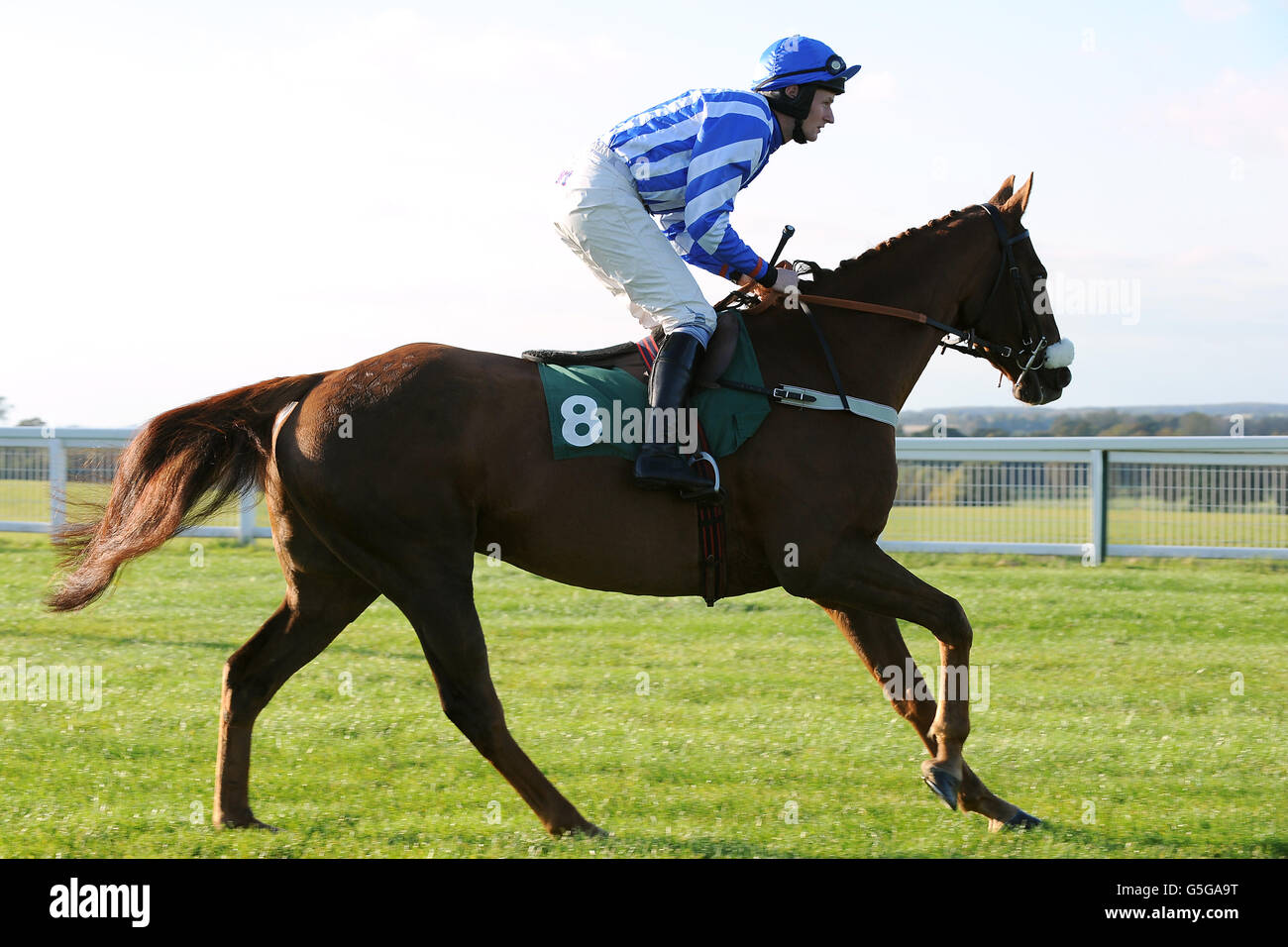 Horse racing towcester races hi-res stock photography and images - Alamy