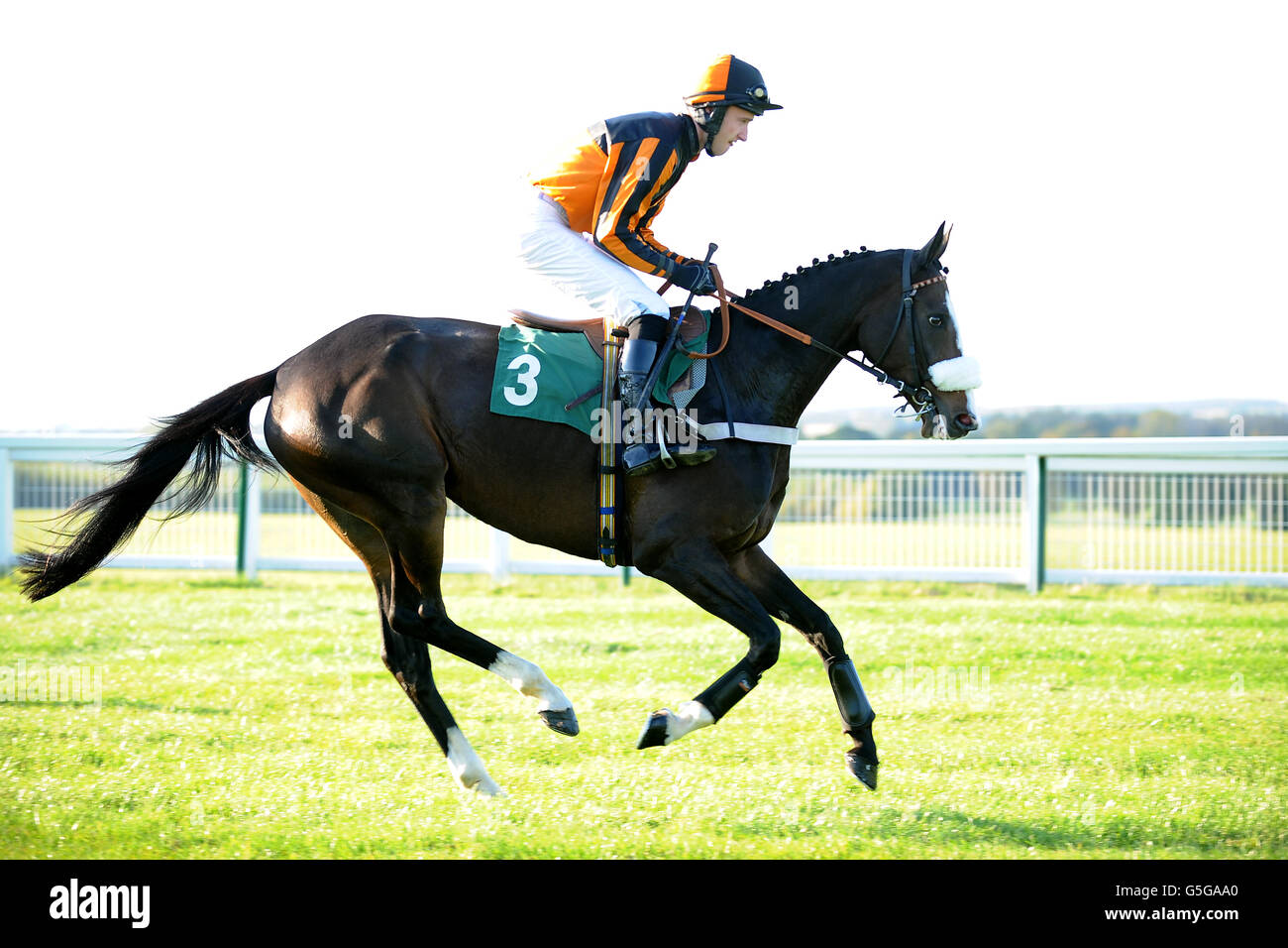 Horse racing towcester races hi-res stock photography and images - Alamy
