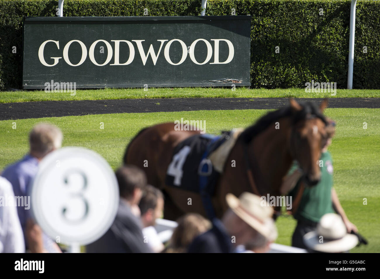 Goodwood signage in the parade ring hi-res stock photography and images ...