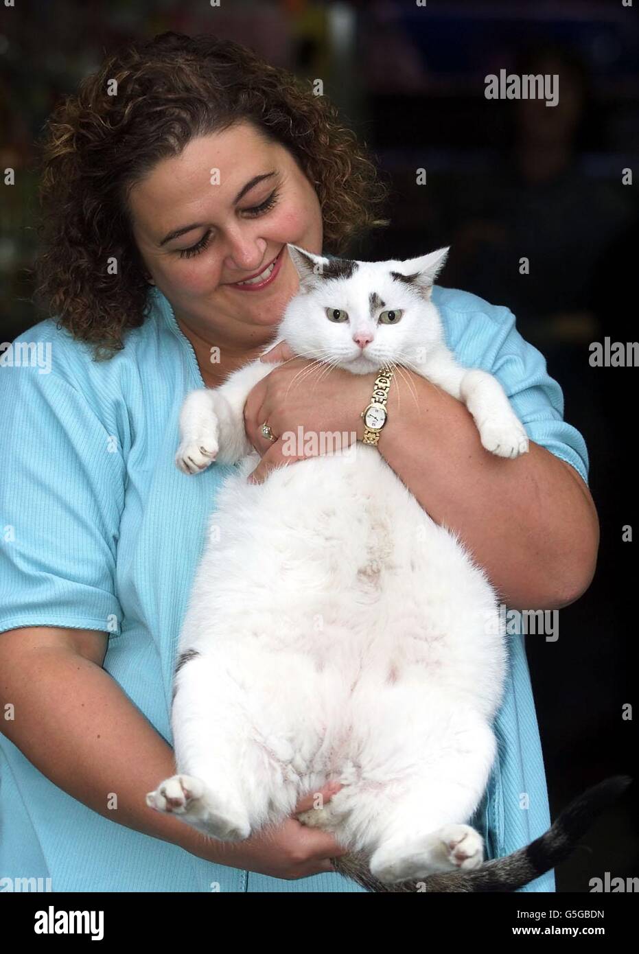 North shields fat cat fidget hi-res stock photography and images - Alamy