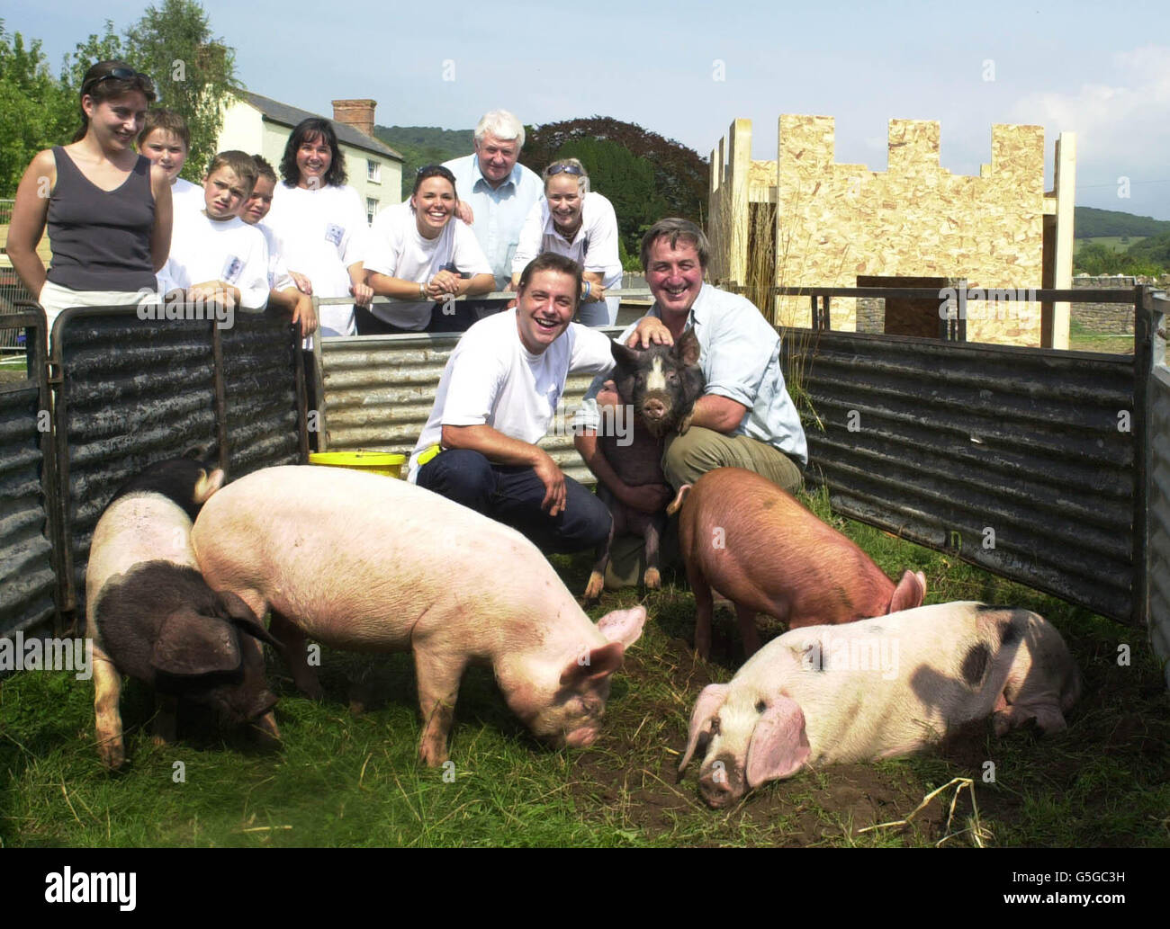 Pig Brother Somerset Stock Photo - Alamy