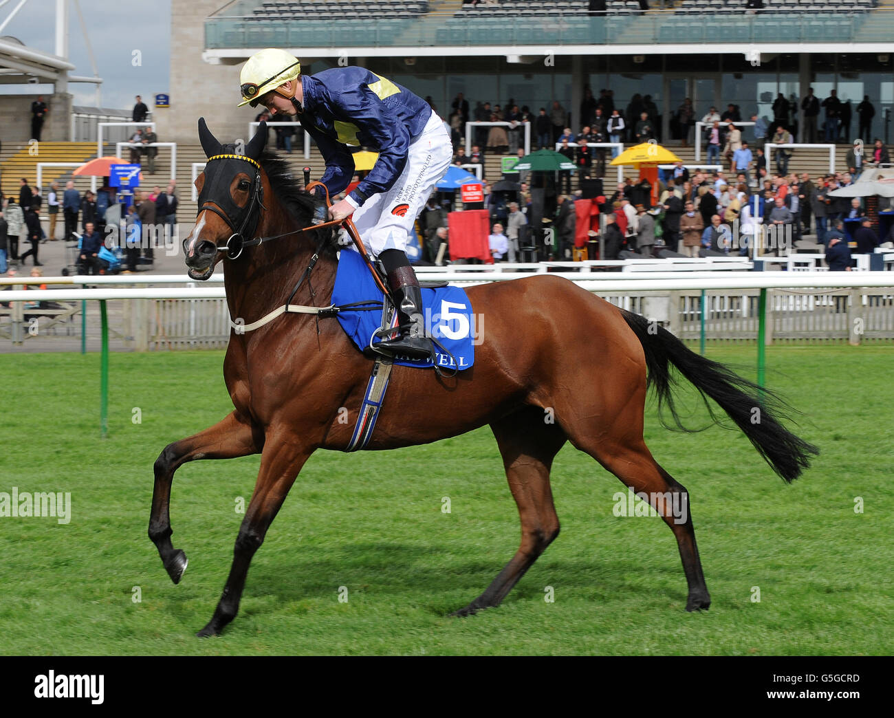 Horse Racing - The Cambridgeshire Meeting - Shadwell Day - Newmarket ...