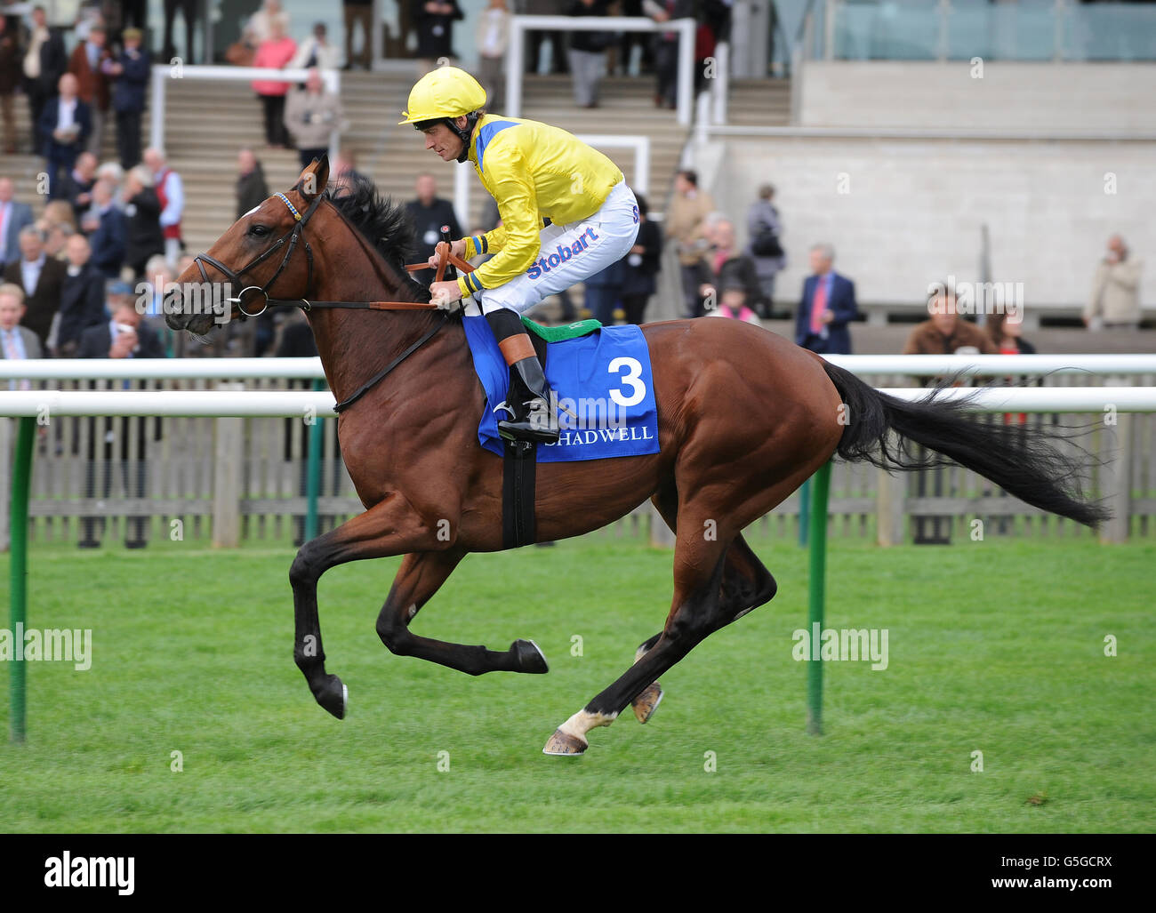 Hughesi hi-res stock photography and images - Alamy