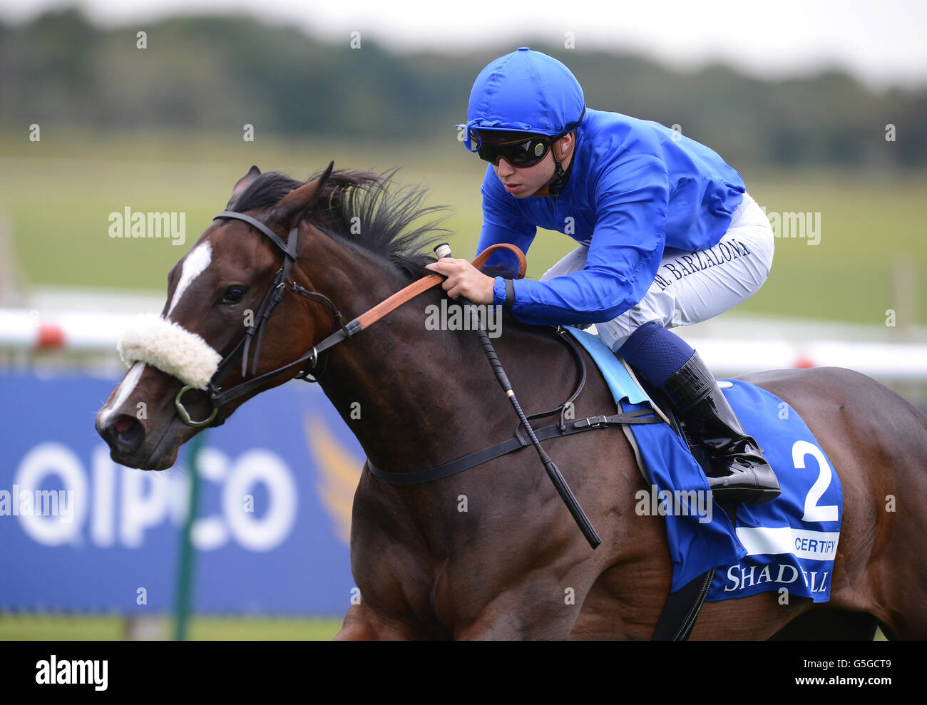 Certify horse hi-res stock photography and images - Alamy