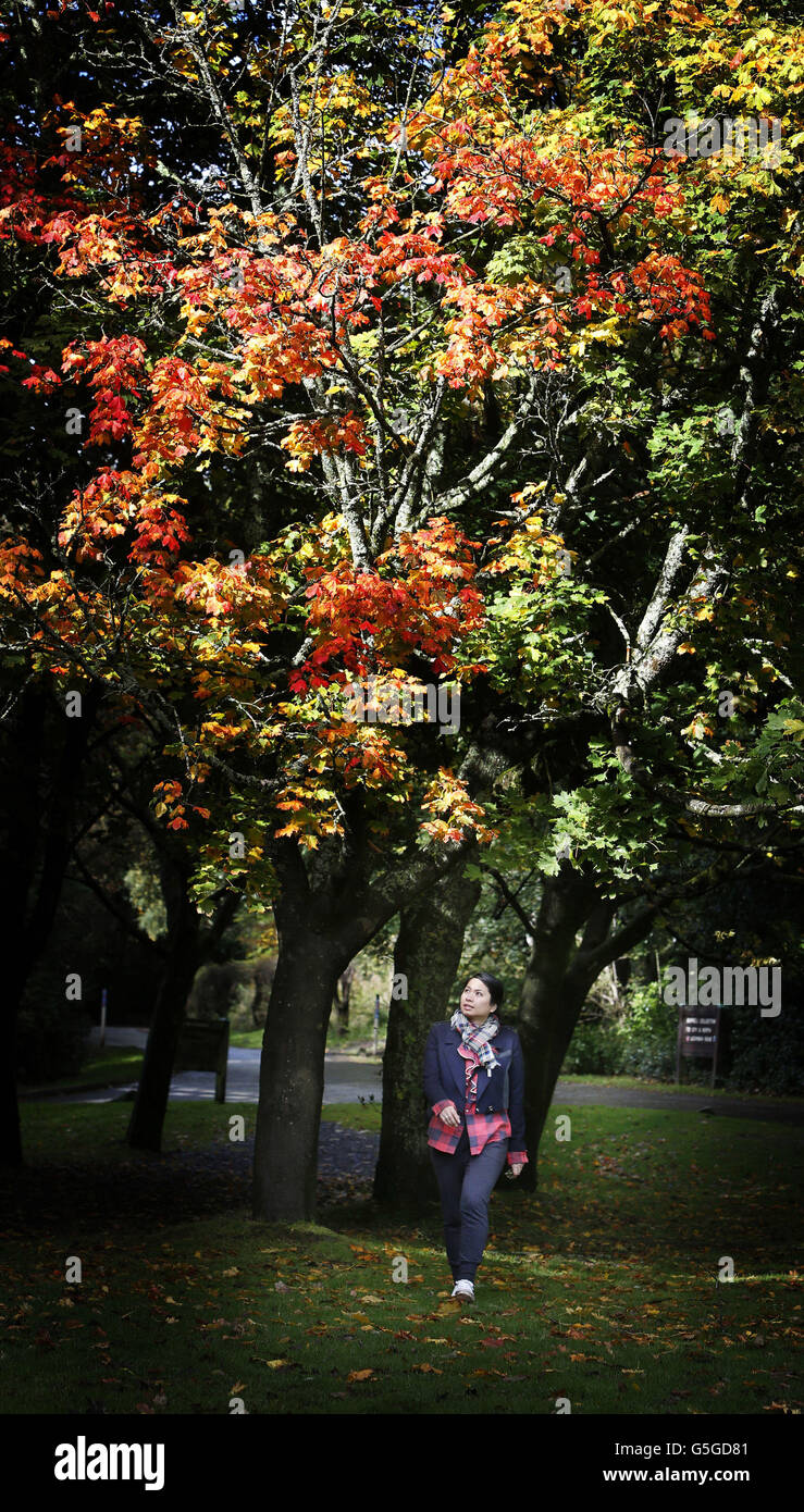 Autumn weather September 30 Stock Photo - Alamy