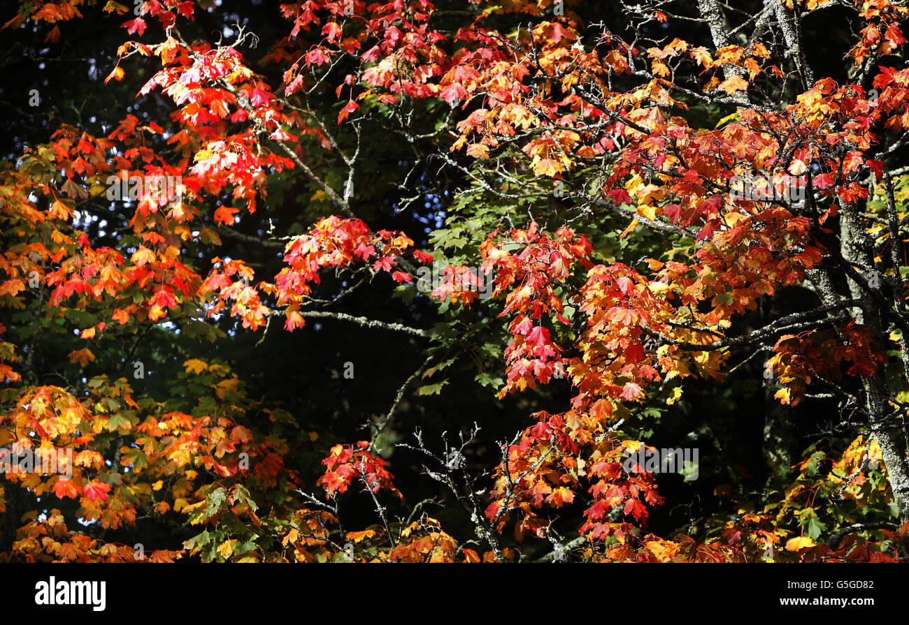 Autumn weather September 30 Stock Photo - Alamy