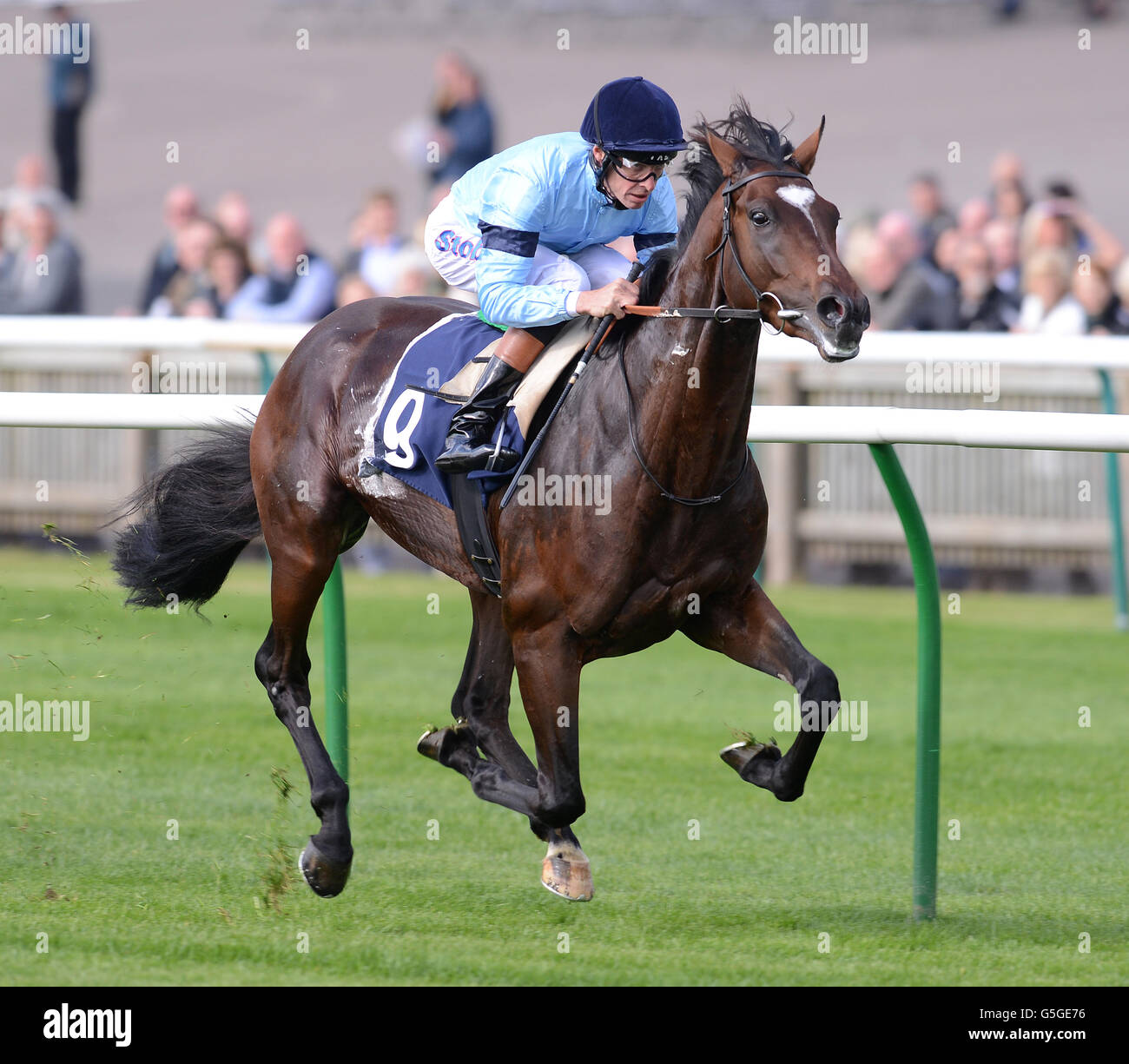 Telescope ridden by Richard Hughes winners of the British Stallion ...