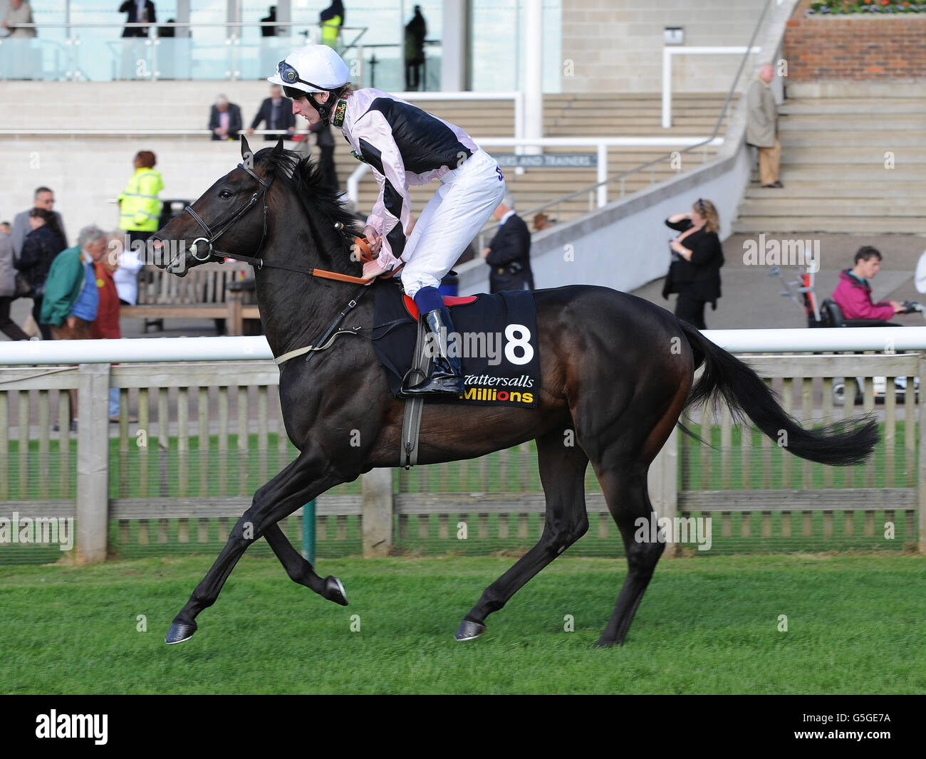 Get well acquainted hi-res stock photography and images - Alamy