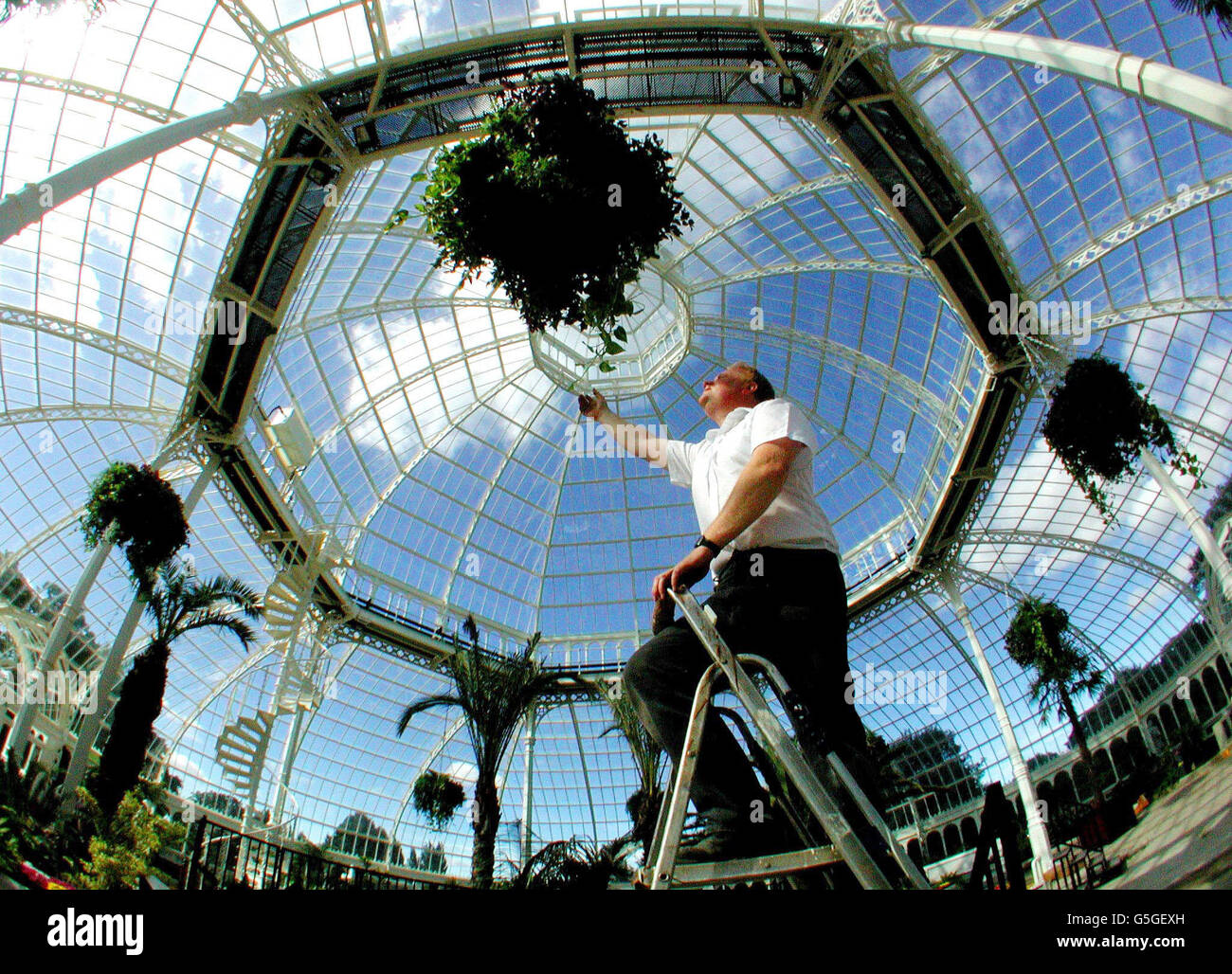 Palm House Liverpool's Sefton Park Stock Photo - Alamy