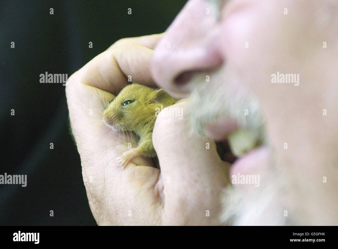 Wildlife presenter bill oddie hi-res stock photography and images - Alamy