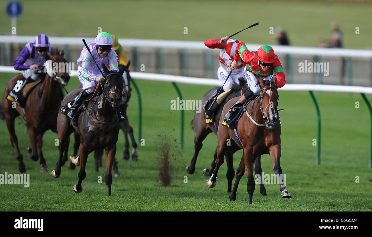 Ludorum hi-res stock photography and images - Alamy