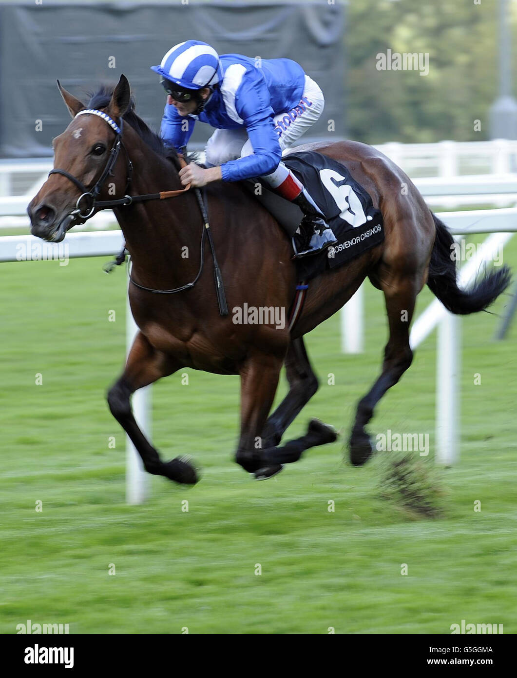 Horse Racing - Autumn Meeting - Day Two - Ascot Stock Photo - Alamy