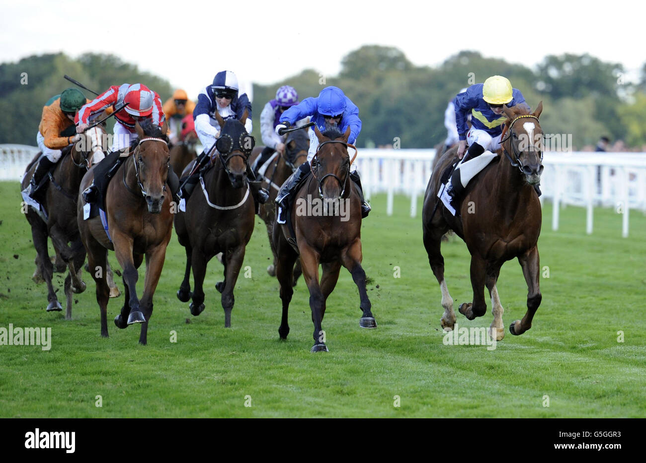 Horse Racing - Autumn Meeting - Day Two - Ascot Stock Photo - Alamy