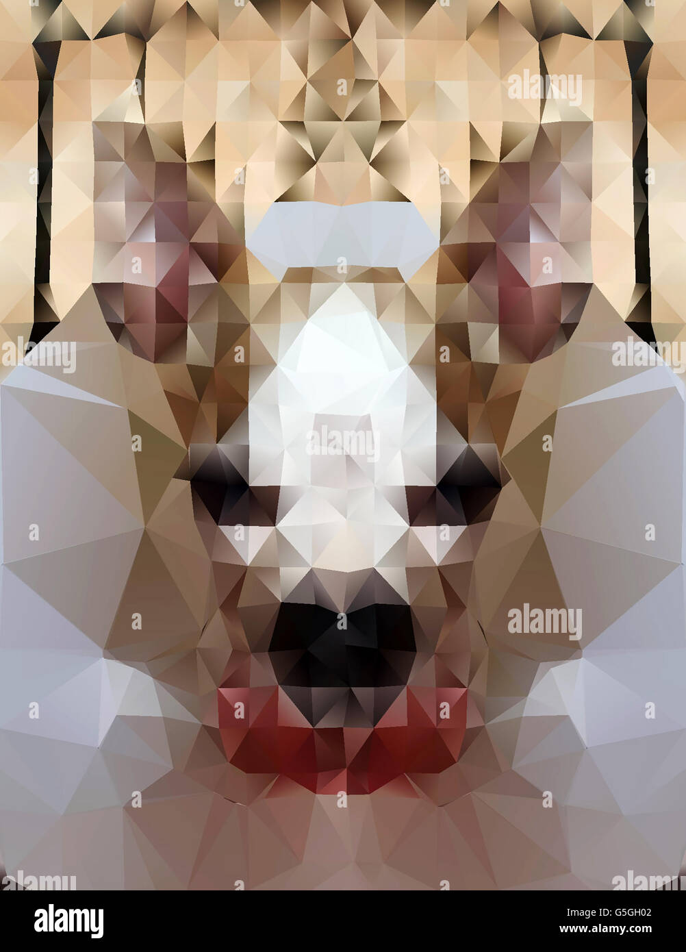 Dog polygonal hi-res stock photography and images - Alamy