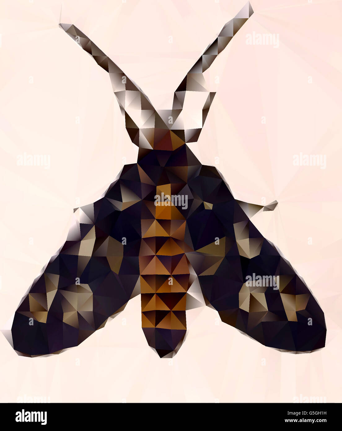 Abstract polygonal low poly insect Stock Photo - Alamy
