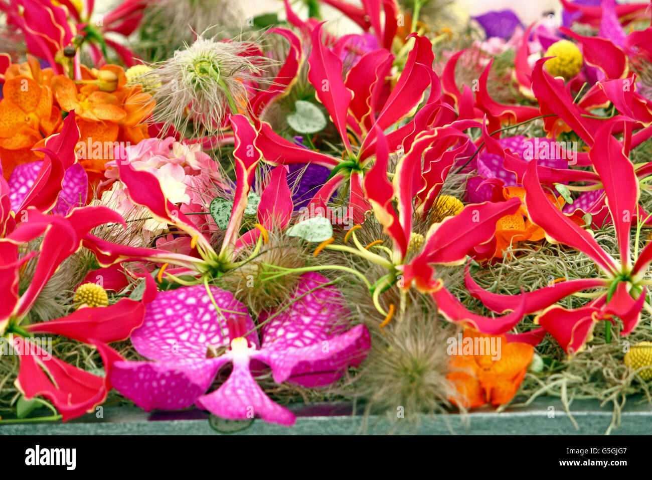 Decoration of mix of red flowers, natural background Stock Photo - Alamy