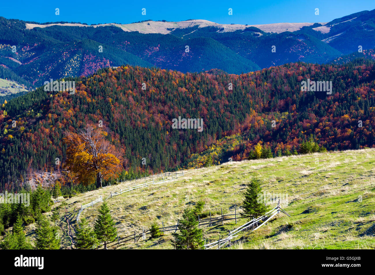Pasture land panorama hi-res stock photography and images - Alamy