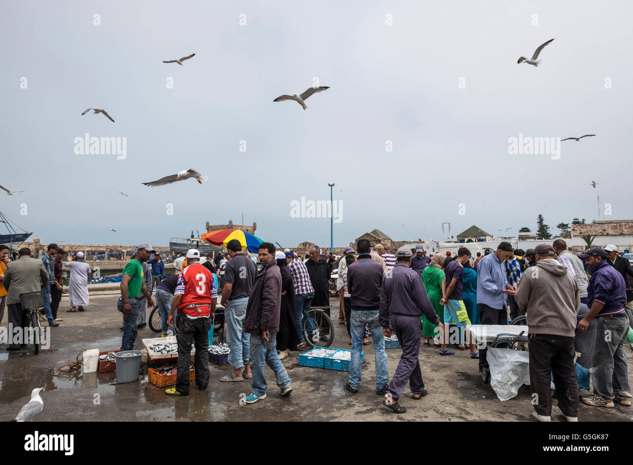 Morocco, Essaouira, fish market Stock Photo - Alamy