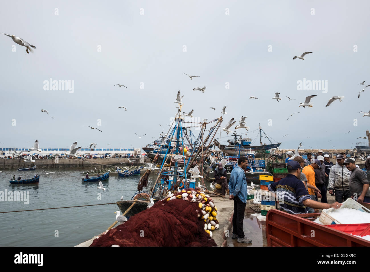Morocco, Essaouira, fish market Stock Photo - Alamy
