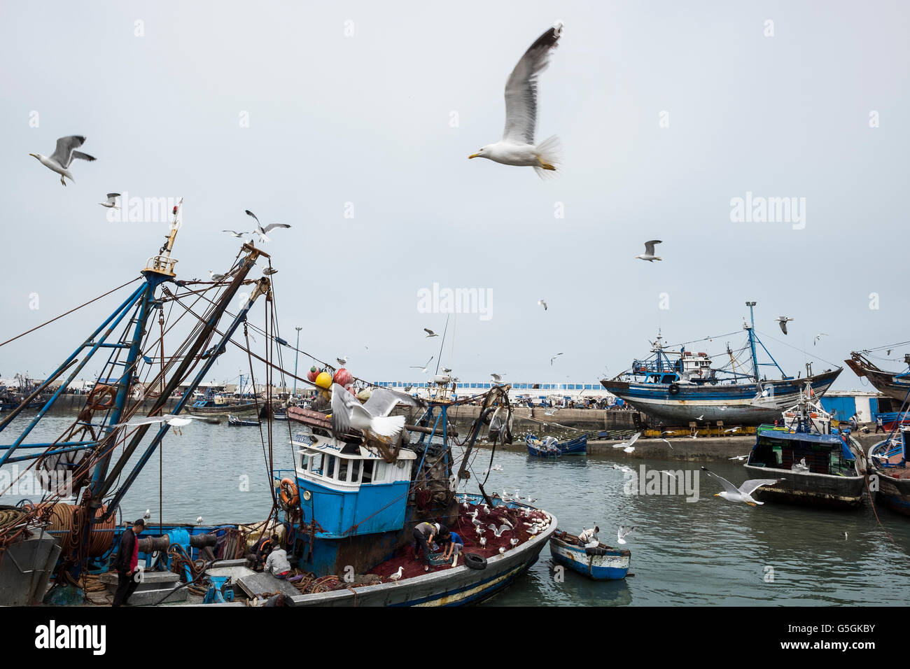 Morocco, Essaouira, fish market Stock Photo - Alamy