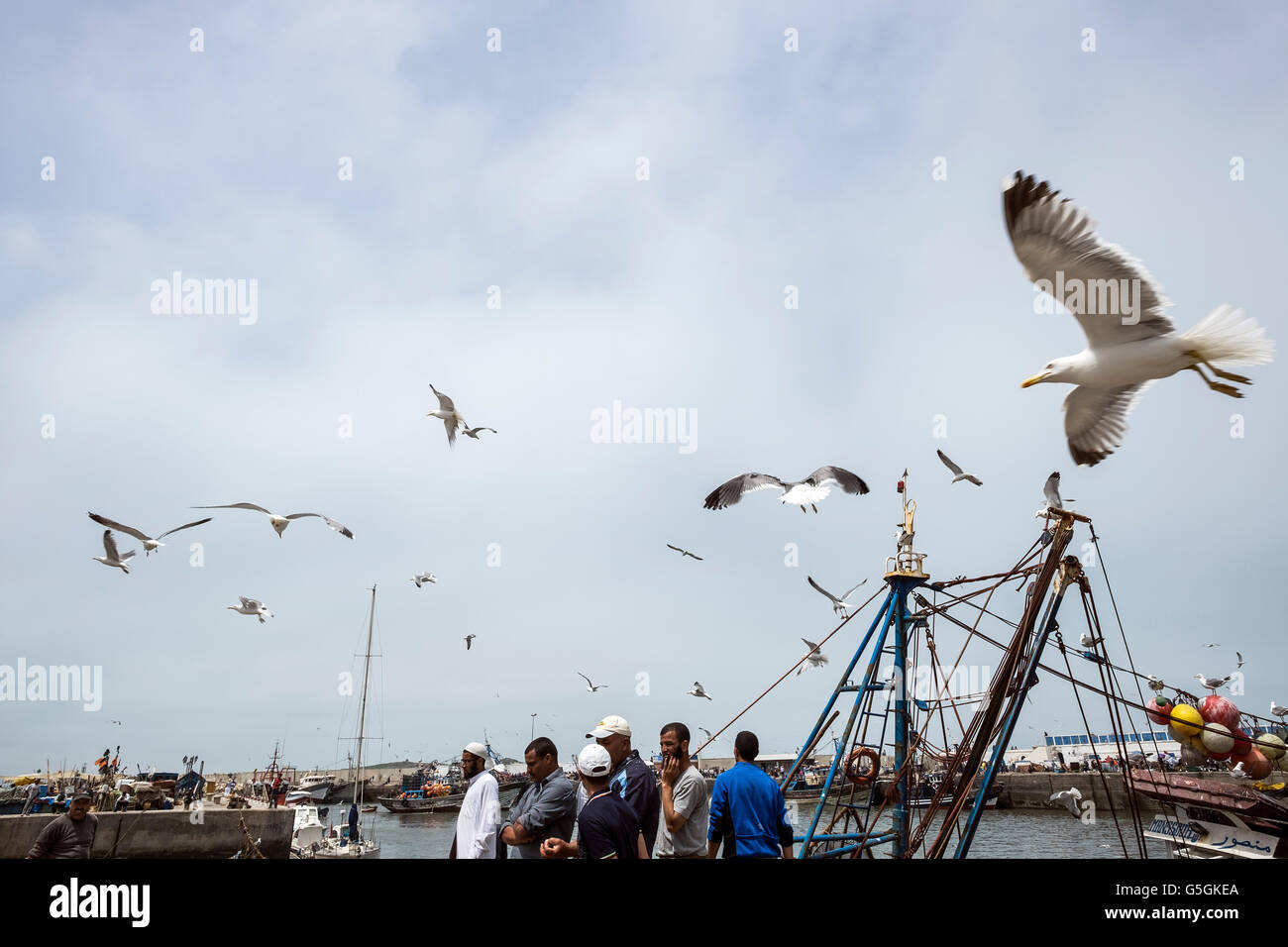 Morocco, Essaouira, fish market Stock Photo - Alamy