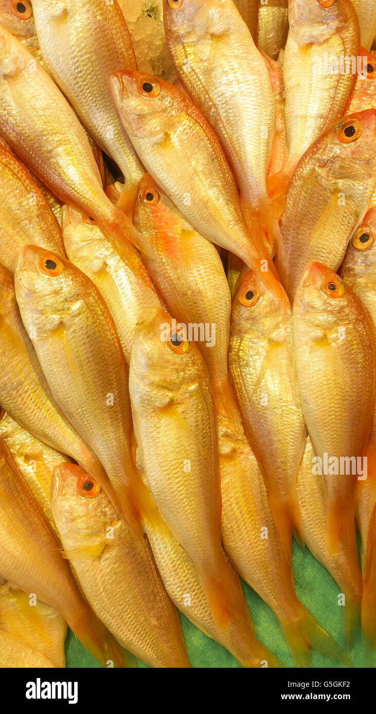 Red sea bream hi-res stock photography and images - Alamy