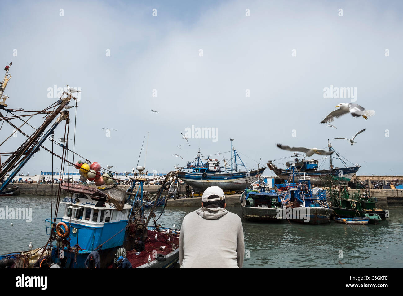 Morocco, Essaouira, fish market Stock Photo - Alamy