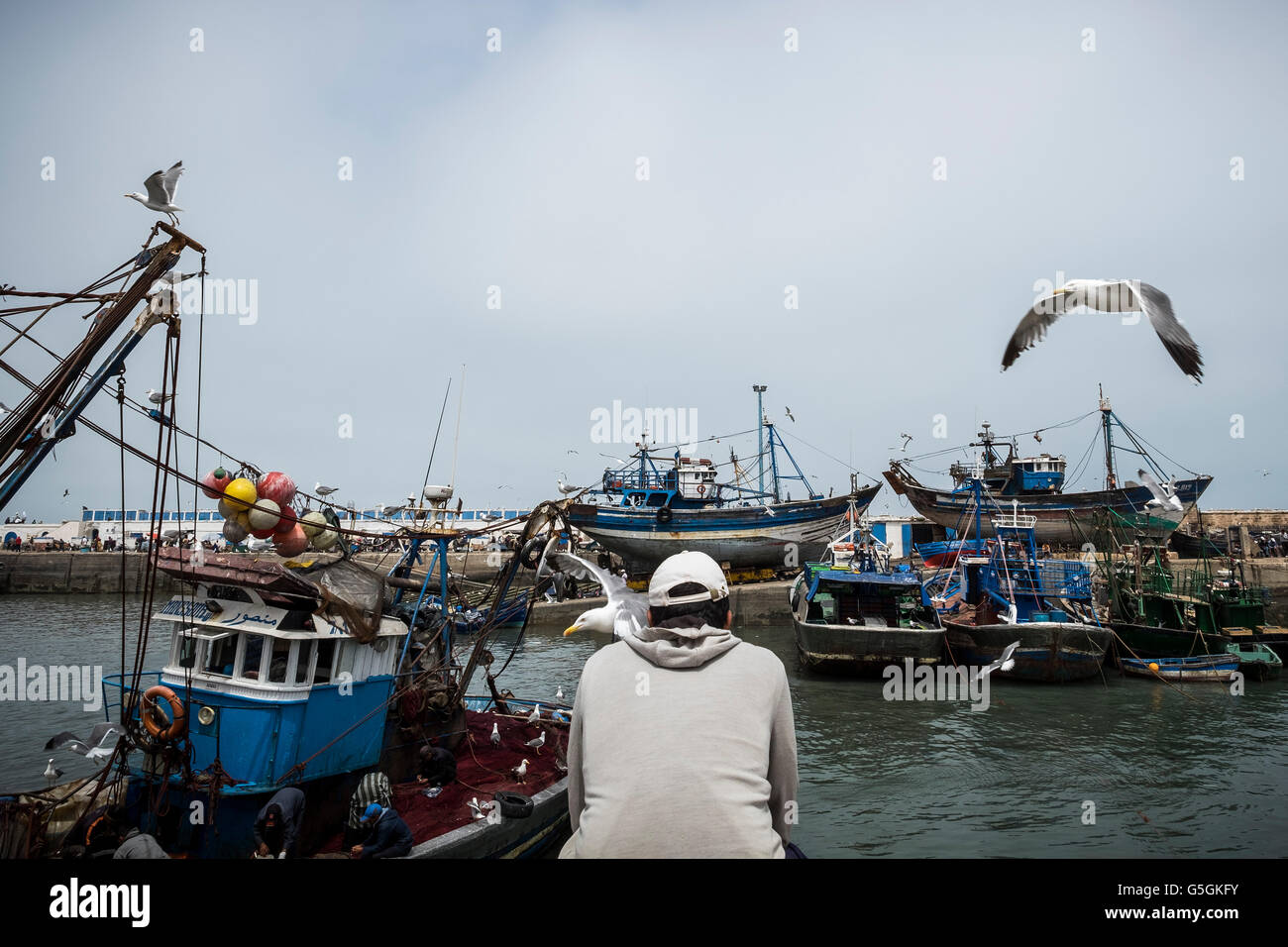 Morocco, Essaouira, fish market Stock Photo - Alamy