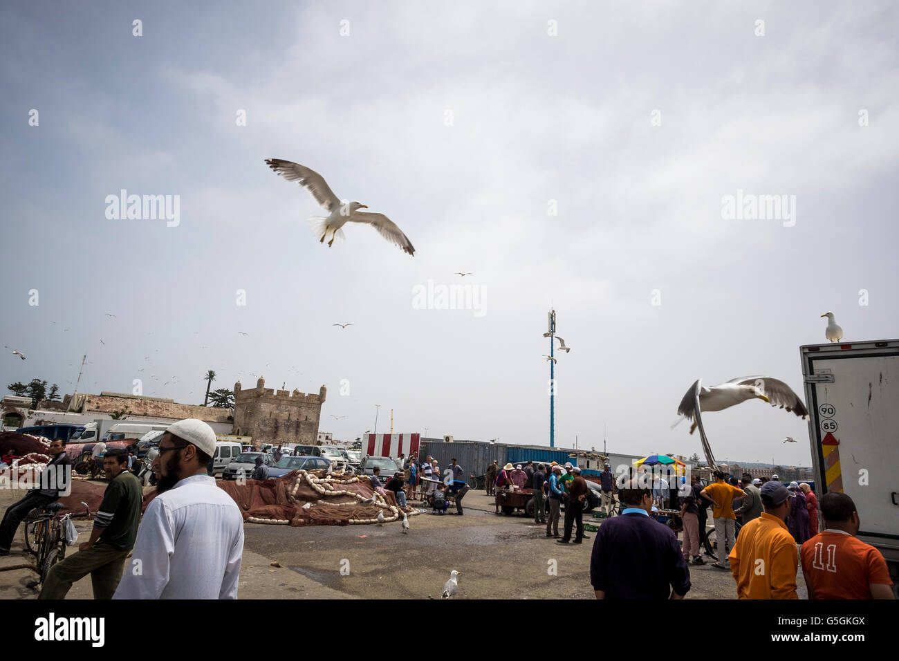 Morocco, Essaouira, fish market Stock Photo - Alamy