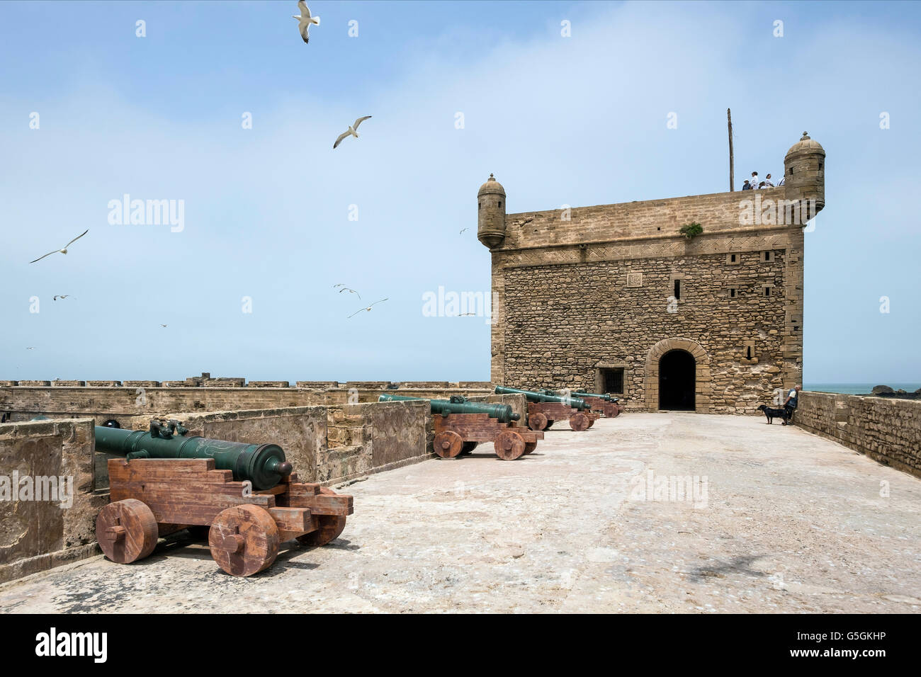 Morocco, Essaouira, landscape Stock Photo - Alamy