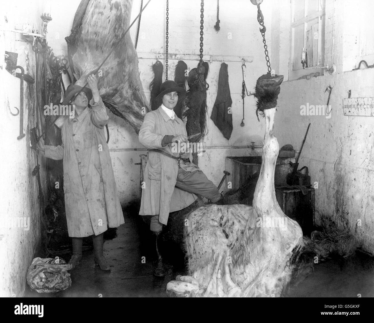 In chelmsford Black and White Stock Photos & Images - Alamy