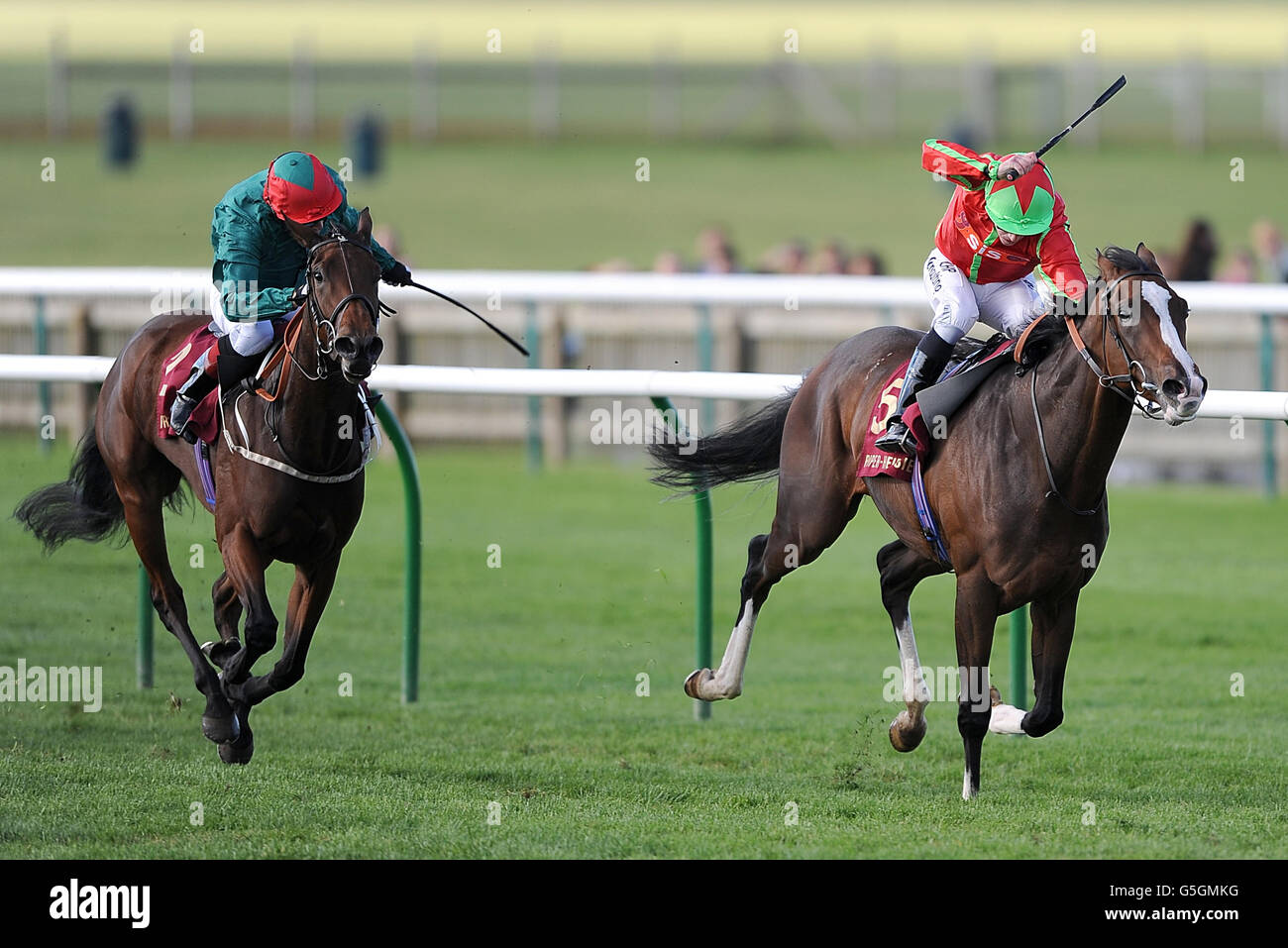 Horse Racing - October Day - Newmarket Racecourse Stock Photo - Alamy