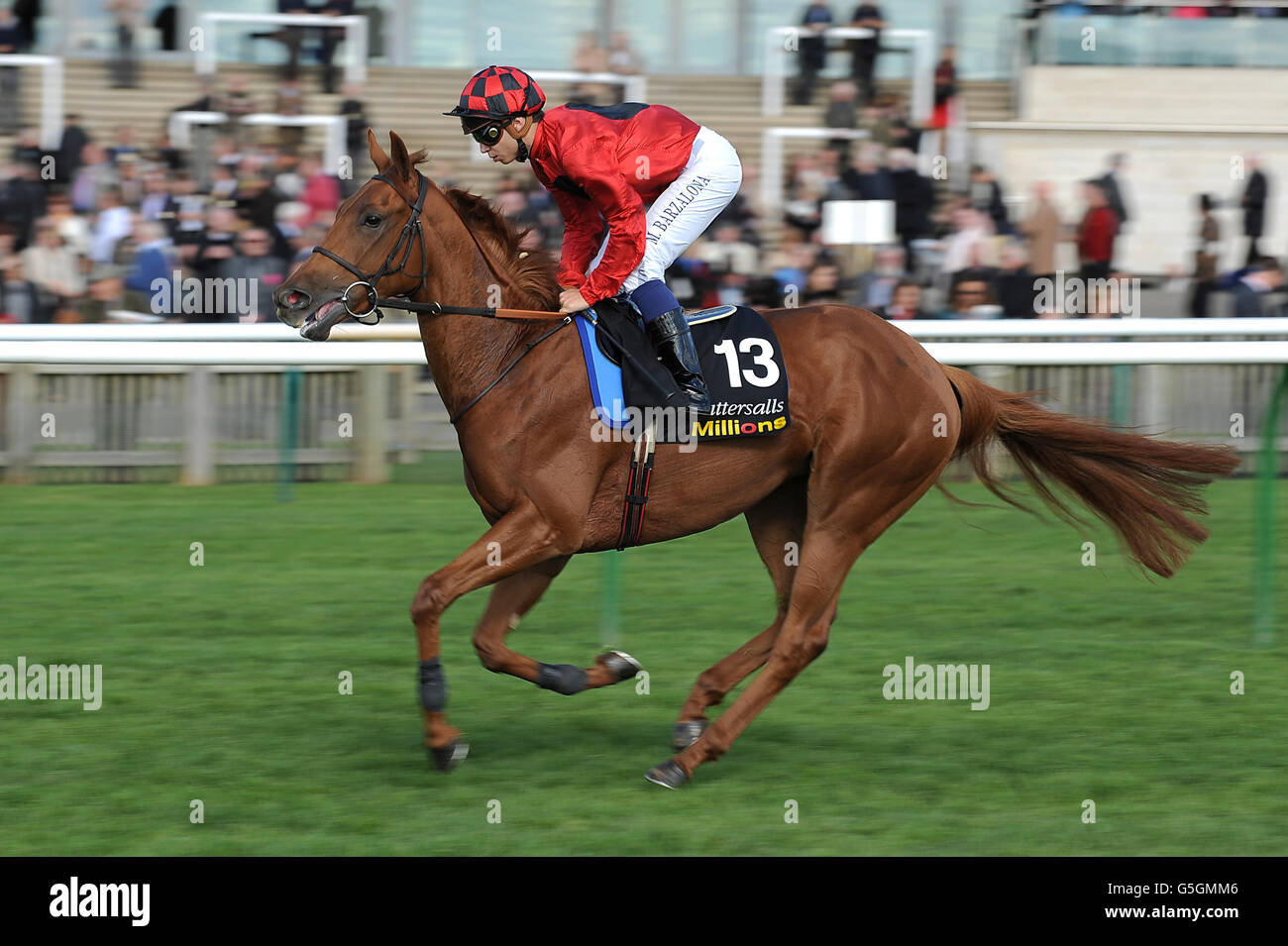 Your darling racecourse hi-res stock photography and images - Alamy