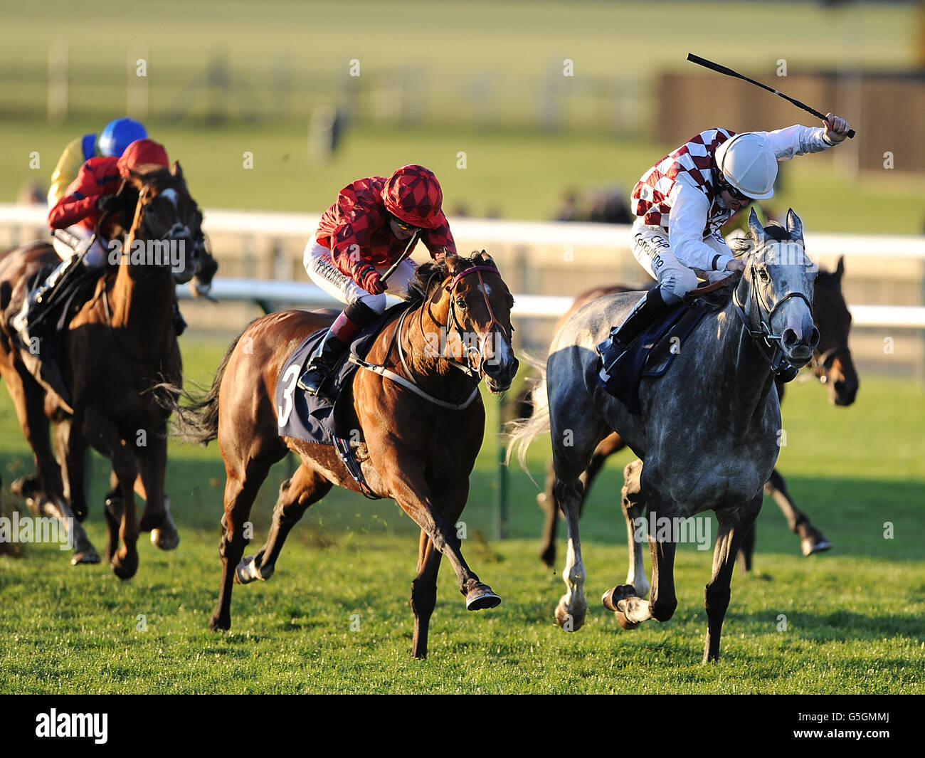 Horse Racing - October Day - Newmarket Racecourse Stock Photo - Alamy