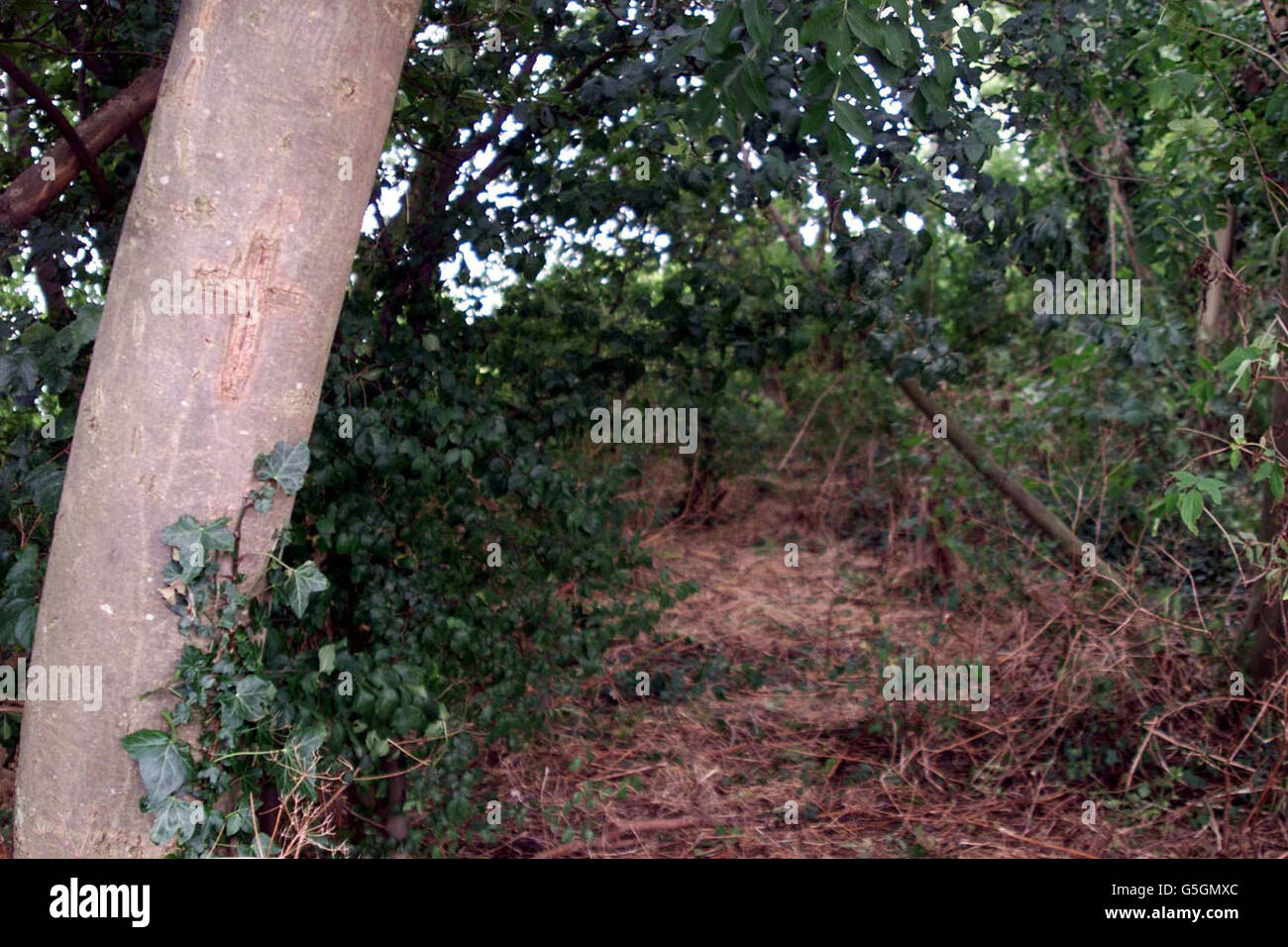 In july 1996 the trial of michael stone hi-res stock photography and ...