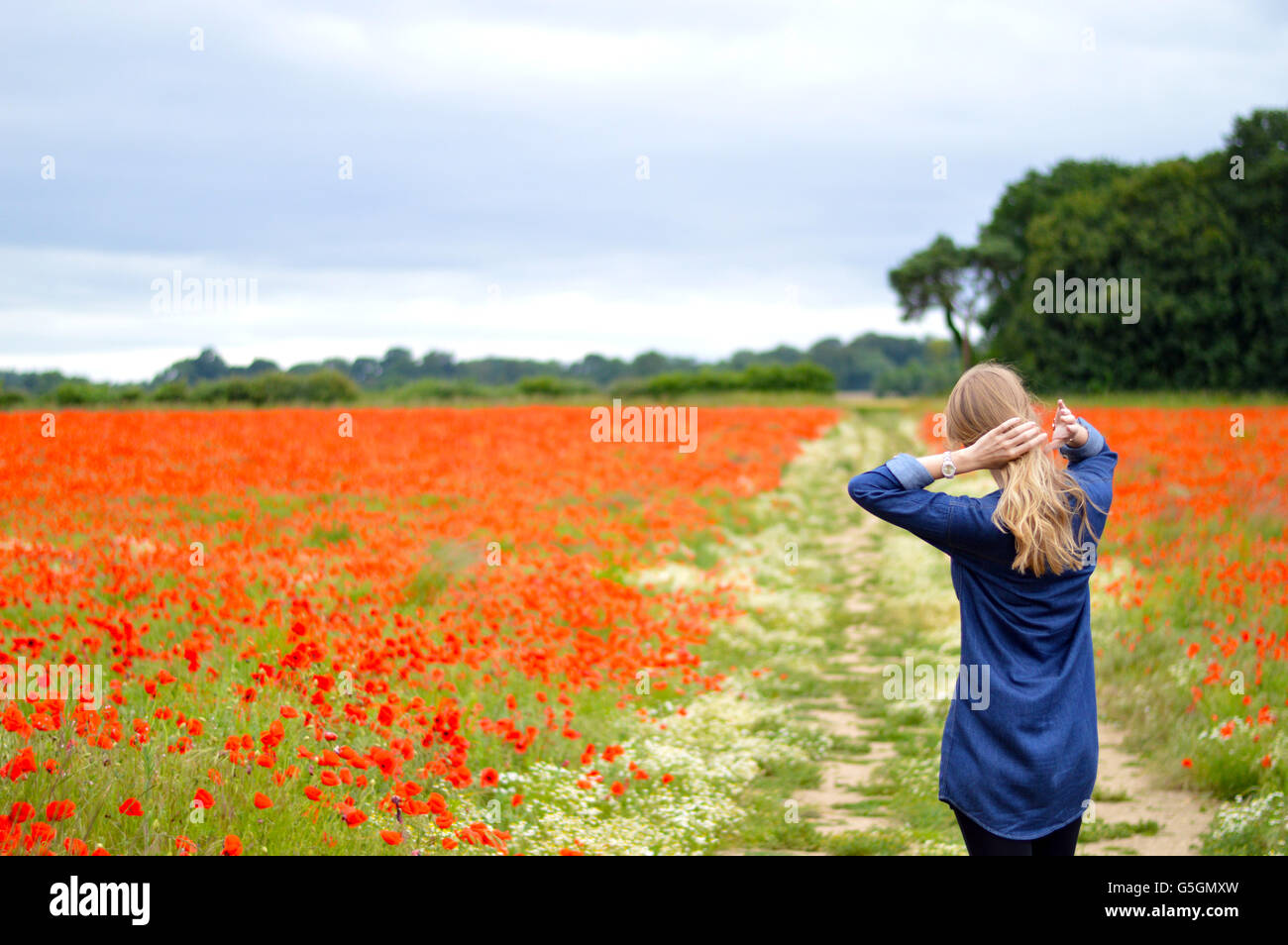 Woman in poppy field hi-res stock photography and images - Alamy