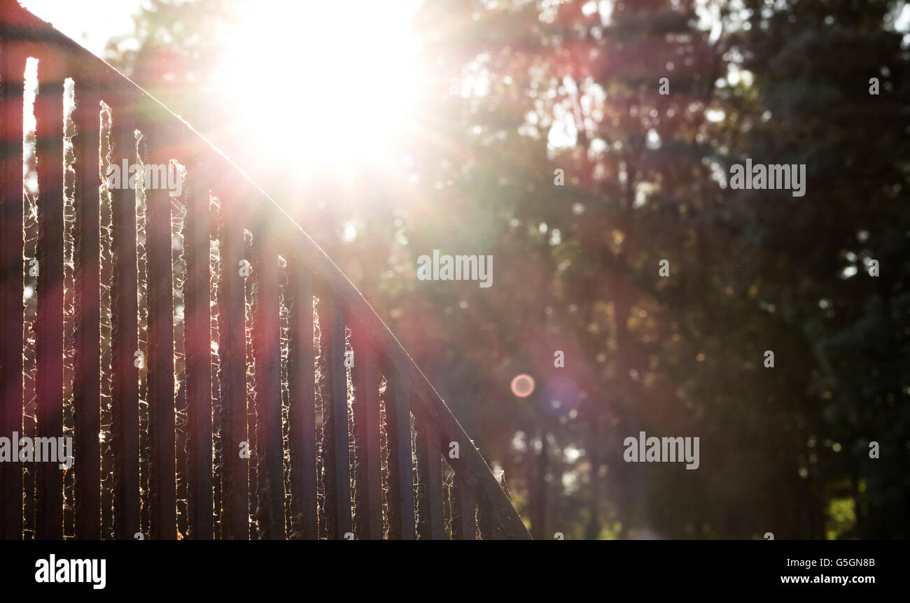 Sunbeam grill hi-res stock photography and images - Alamy