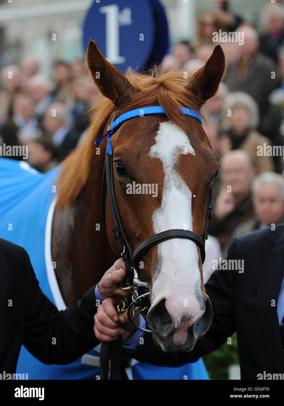 Dubai future champions day hi-res stock photography and images - Alamy