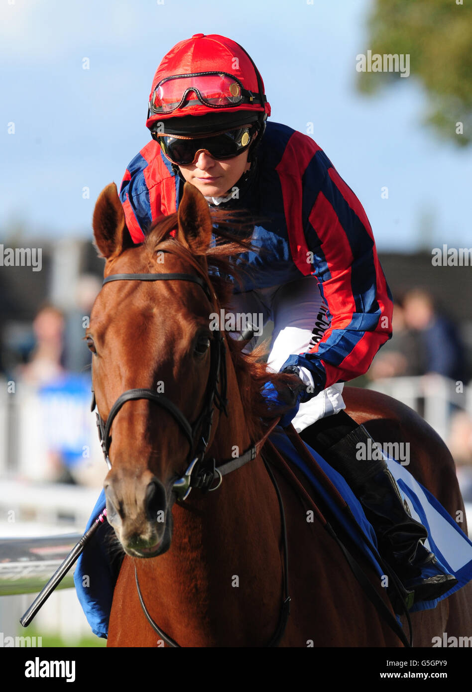 Jockey laura pike on vainglory hi-res stock photography and images - Alamy