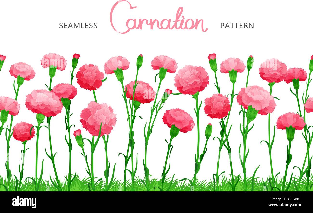 Border carnation garden Stock Vector Images - Alamy