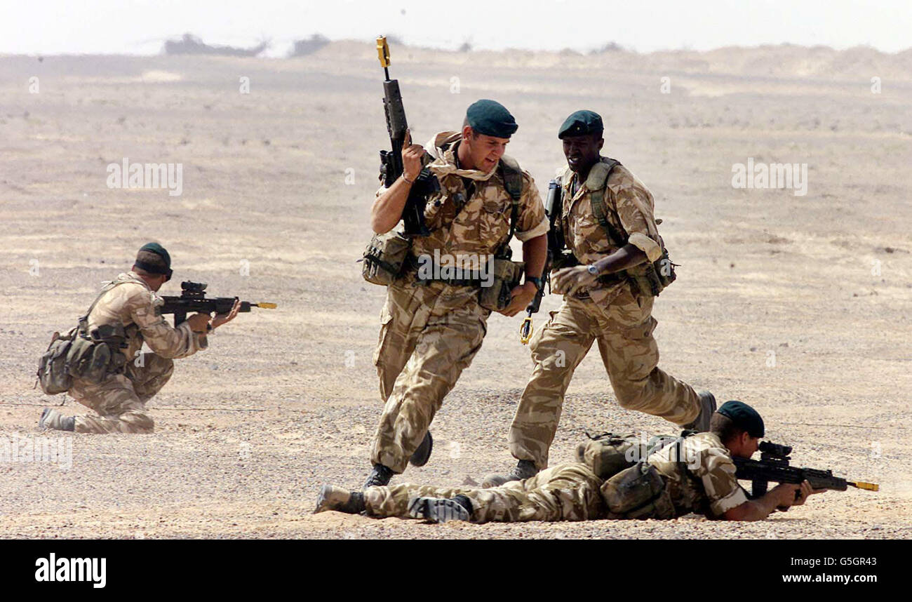 Royal Marines Commandos with 40 Brigade take part in an exercise at ...