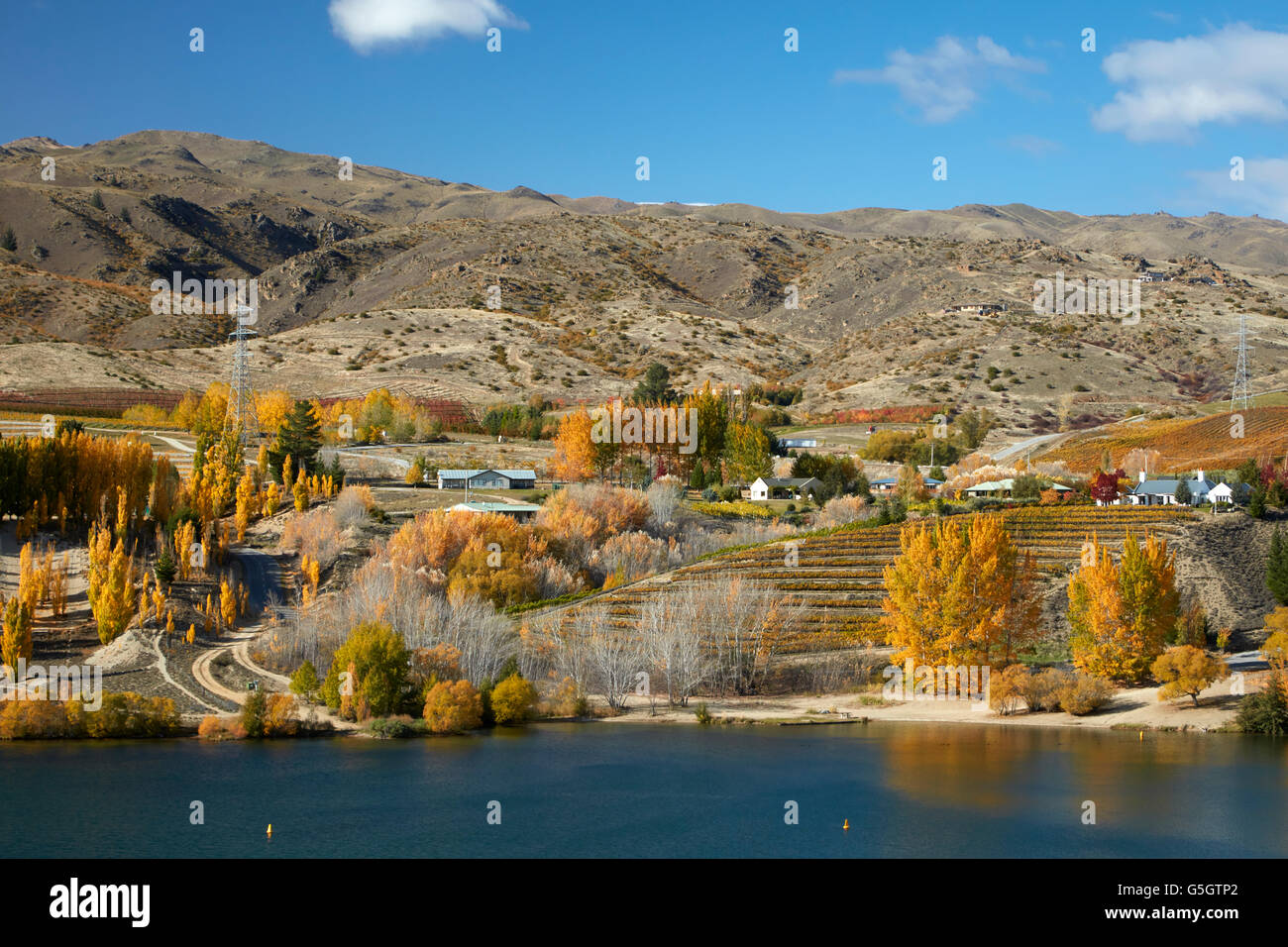 Autumn colours, Bannockburn Inlet, Lake Dunstan, Central Otago, South ...
